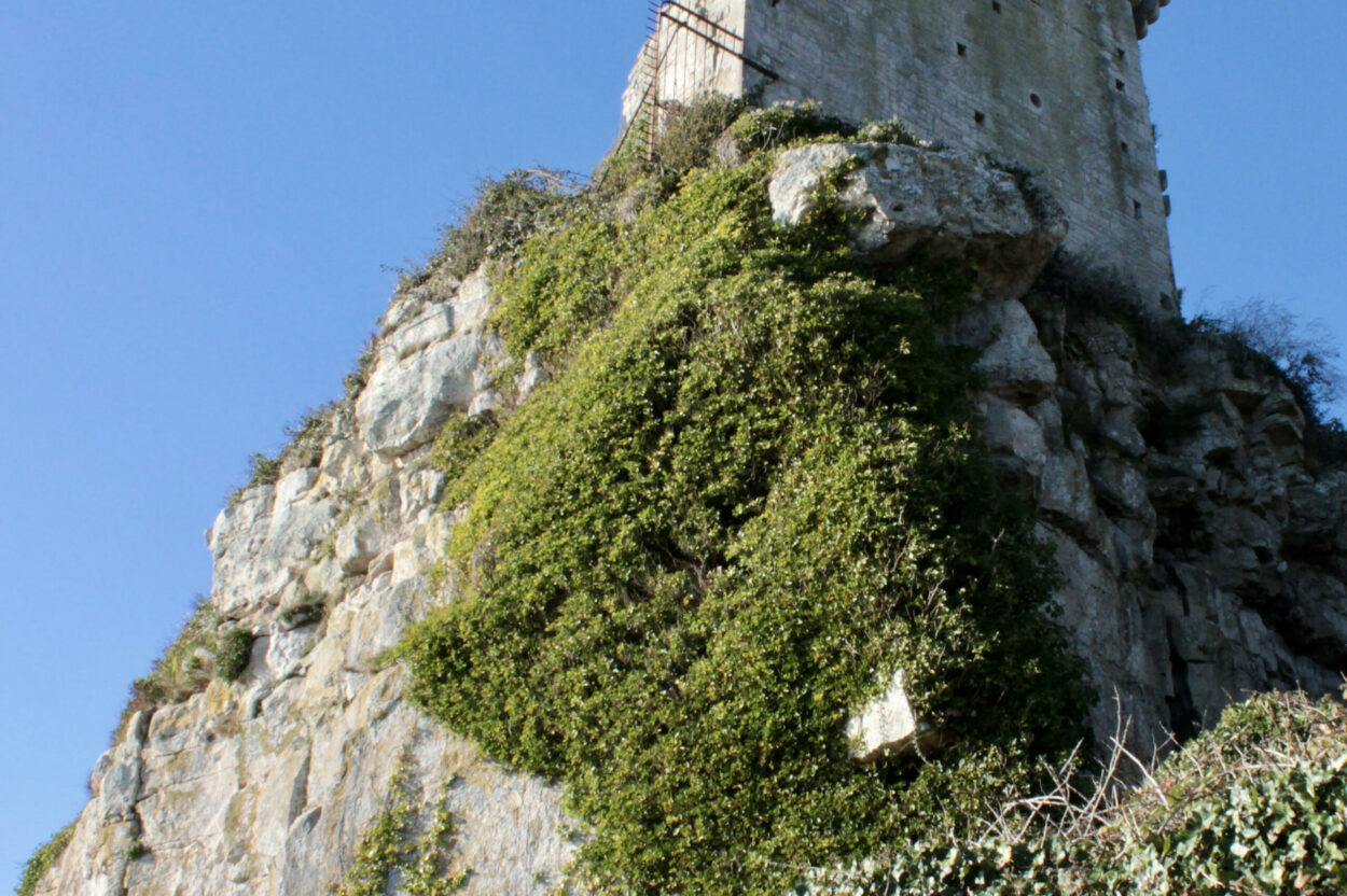 Portland Museum – Portland Dorset UK